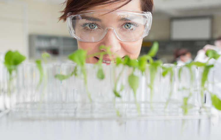 Phynova | Harnessing the Therapeutic Power of Plants